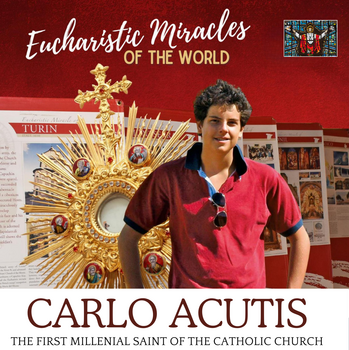 Exposition of Eucharistic Miracles by Carlo Acutis. - Most Holy Redeemer Catholic Church - Tampa, FL